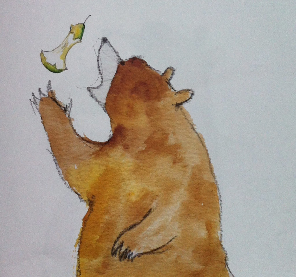 Orange Pear Apple Bear | Bookworm Bear